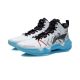 Li Ning Liren (Sharp Edge) 3 III V2 Low Premium Basketball Shoes